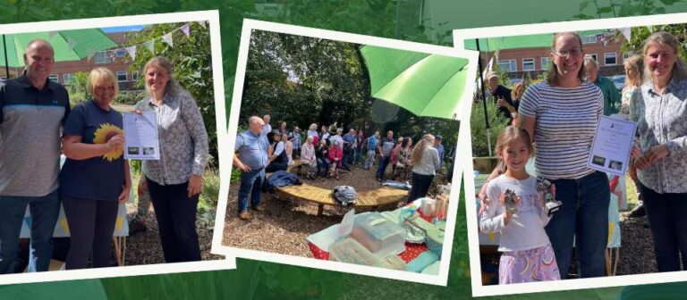 YACIO summer newsletter, 2024 – York Allotments